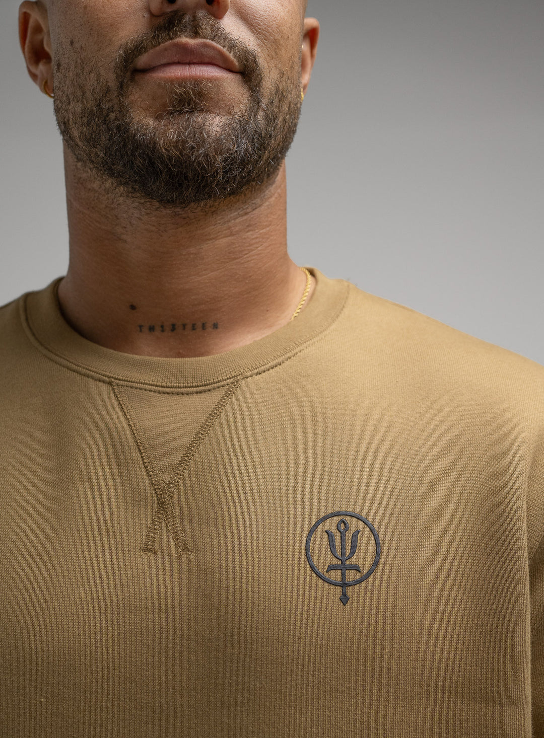 Insignia Jumper | Sand Premium Sweatshirt | ThruDark